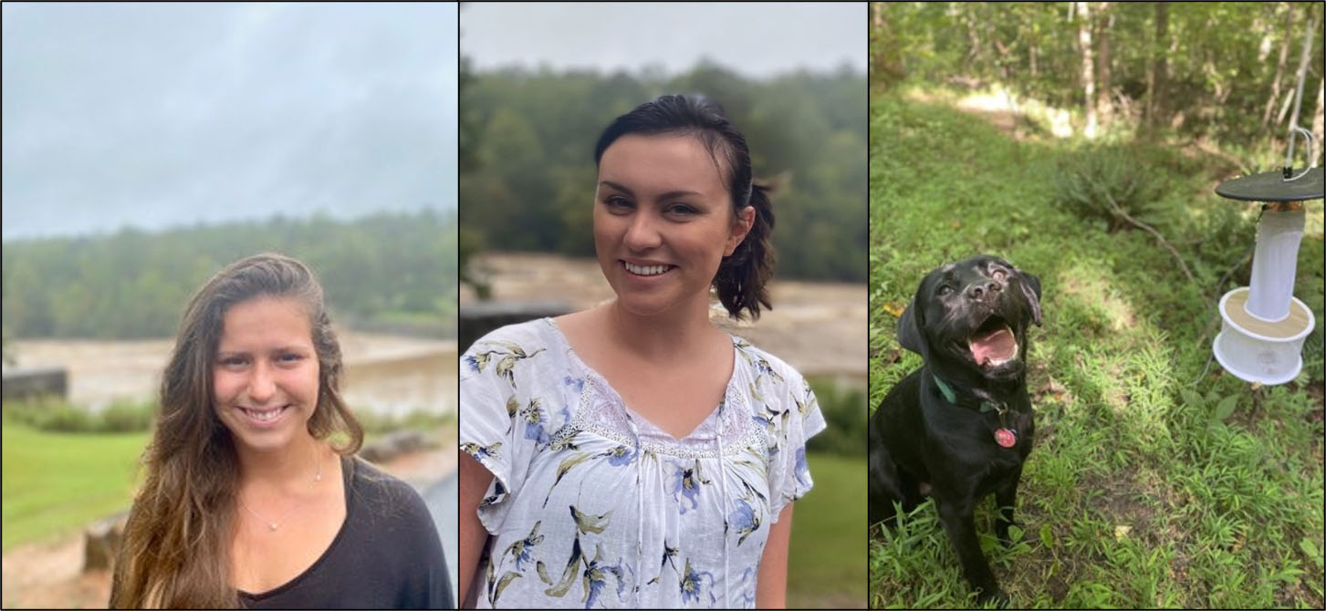 Georgia Department of Health – SECVBD